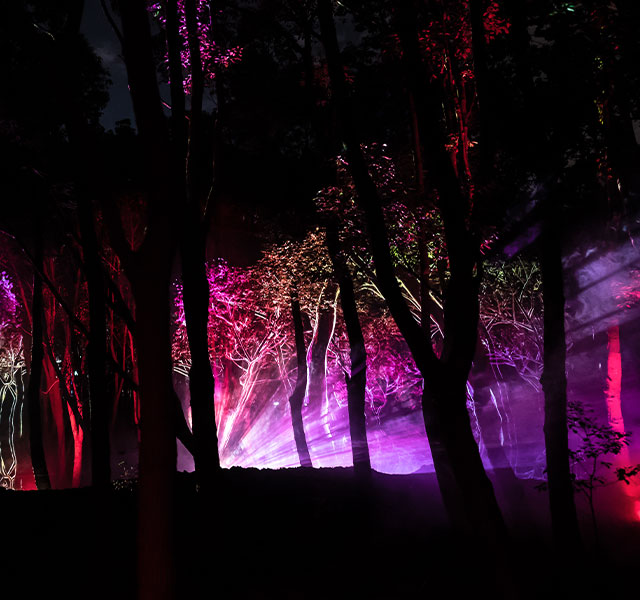 Christie laser projectors illuminate Shanghai’s first forest-themed ...